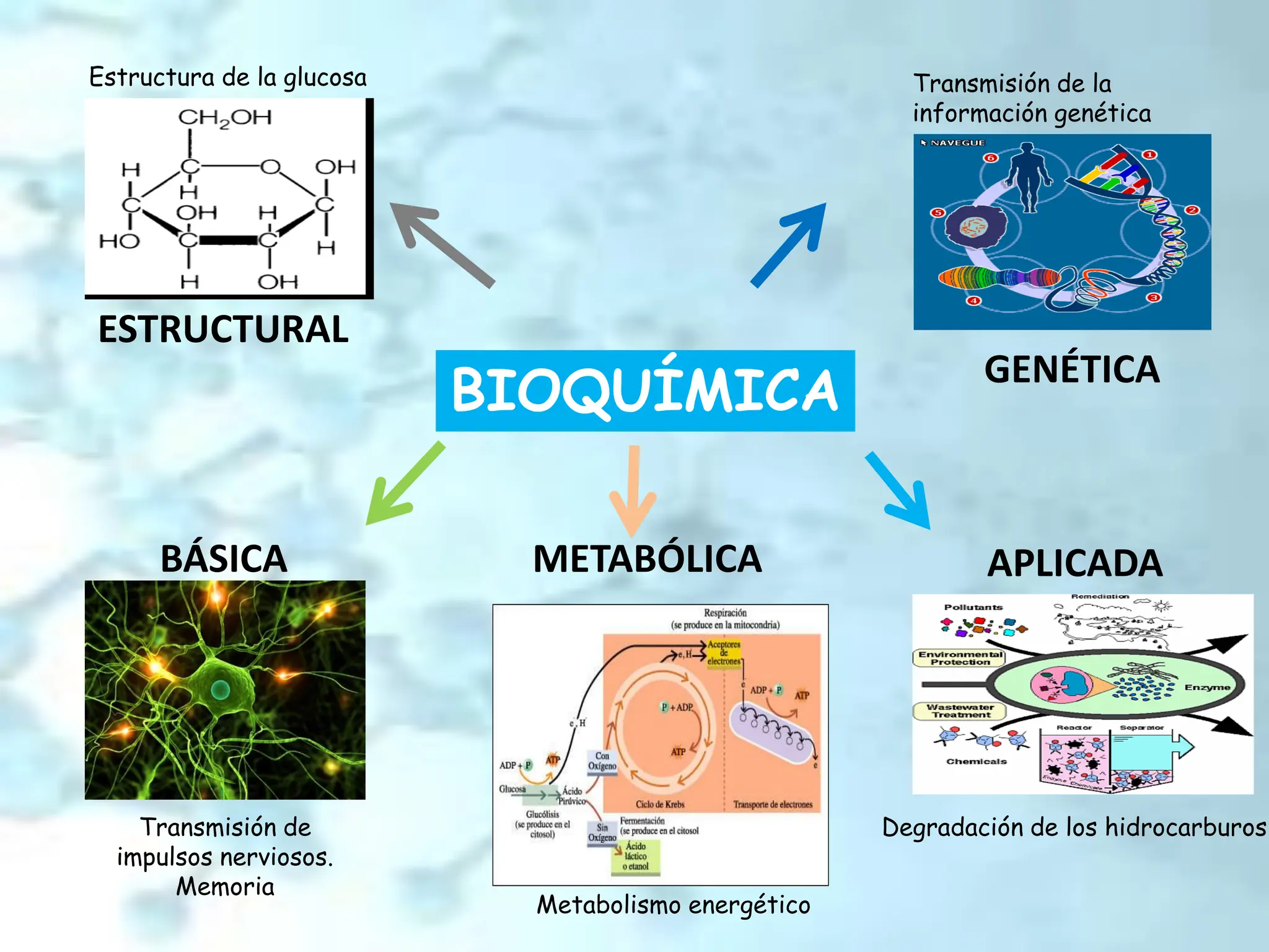 Bioquimica Generalidades historia y clasificación y | PDF