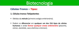 1_Biotecnologia - introdução, células tronco e clonagem.pptx