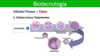 1_Biotecnologia - introdução, células tronco e clonagem.pptx