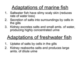 Chapter 21 Ecology Lesson 1 - Biotic and abiotic factors | PPT | Science