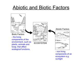 Chapter 21 Ecology Lesson 1 - Biotic and abiotic factors | PPT