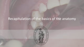 Recapitulation of the basics of the anatomy | PPT