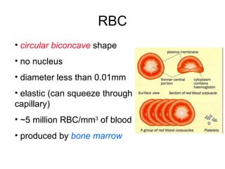 Chapter 8 Lesson 1 - The Components of Blood | PPT