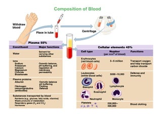 Chapter 8 Lesson 1 - The Components of Blood | PPT