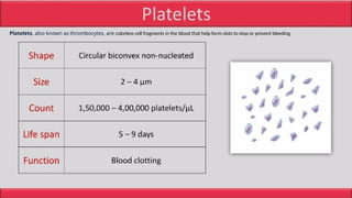 DPT - Physiology - II (Blood Physiology) Blood Composition and Function ...