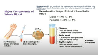 DPT - Physiology - II (Blood Physiology) Blood Composition and Function ...
