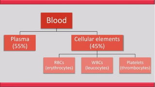 DPT - Physiology - II (Blood Physiology) Blood Composition and Function | PPTX