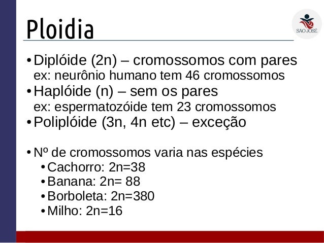 1EM #13 cromossomos