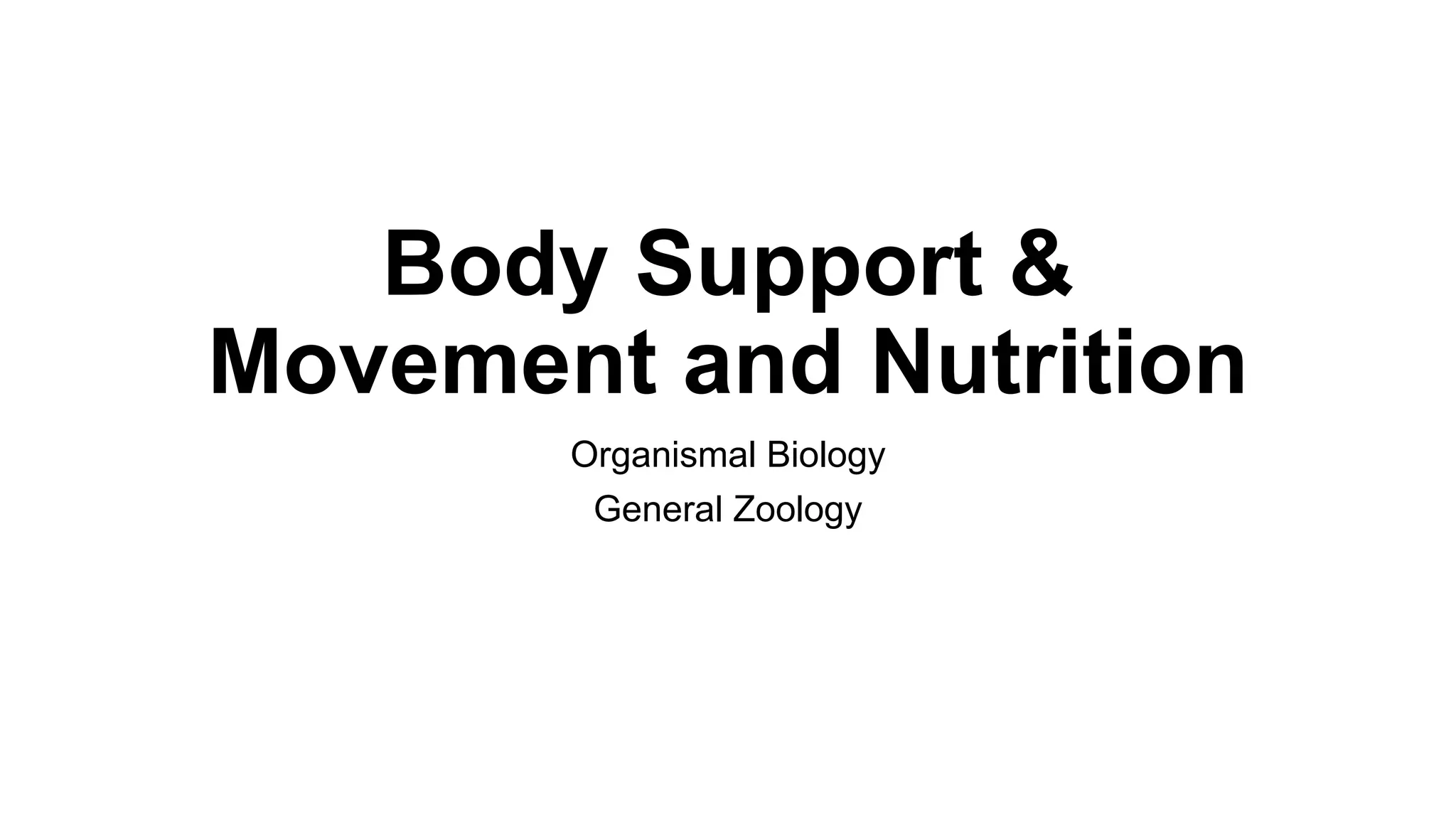 Body support and movement and nutrition | PPTX