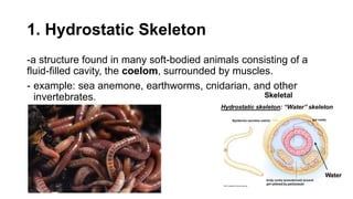 Body support and movement and nutrition | PPTX