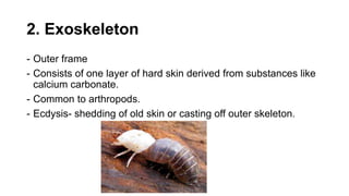 Body support and movement and nutrition | PPTX