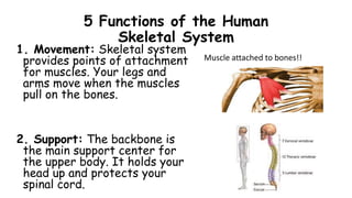 Body support and movement and nutrition | PPTX