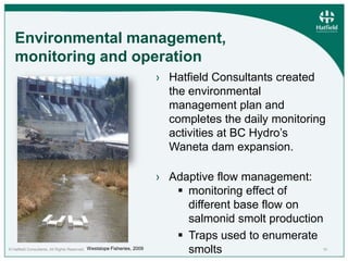 BC Hydro Experience with Environmental Management: British Colombia ...