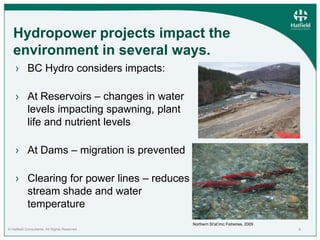 BC Hydro Experience with Environmental Management: British Colombia ...