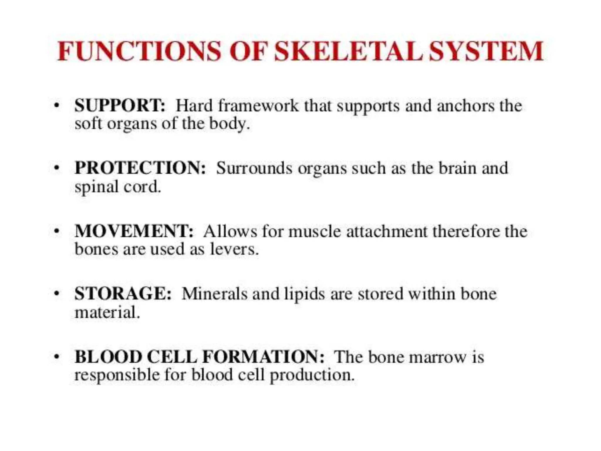 SKELETAL SYSTEM BONES ANATOMY AND PHYSIOLOGY | PPTX | Death, Injury, or ...