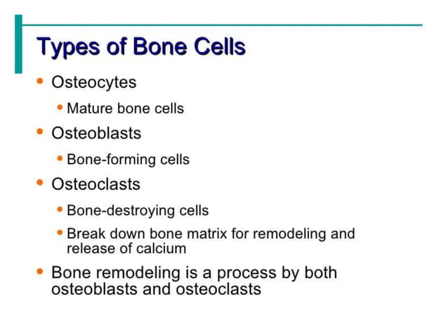 SKELETAL SYSTEM BONES ANATOMY AND PHYSIOLOGY | PPTX | Death, Injury, or ...