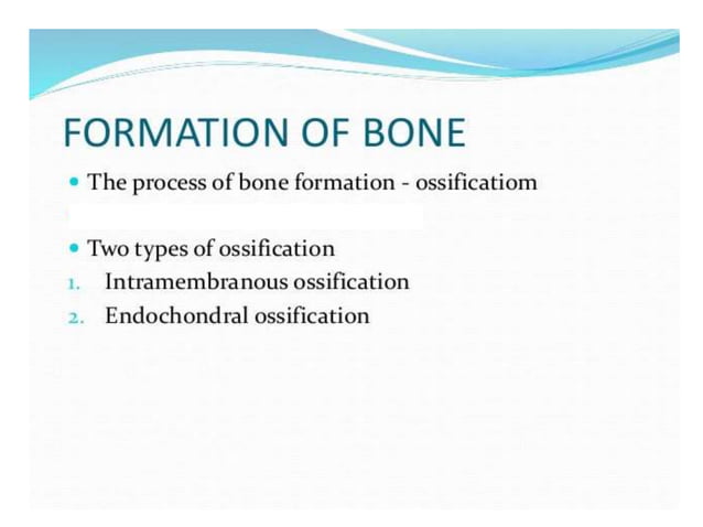 SKELETAL SYSTEM BONES ANATOMY AND PHYSIOLOGY | PPTX | Death, Injury, or ...