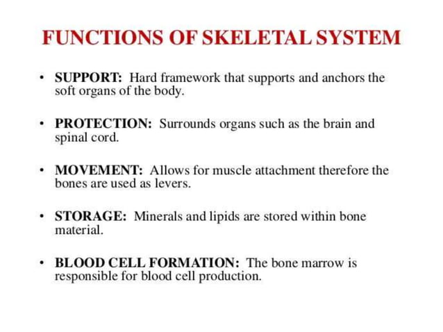 SKELETAL SYSTEM BONES ANATOMY AND PHYSIOLOGY | PPTX