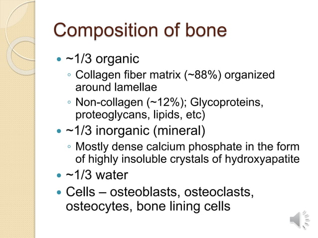1 Bone Structure and Composition | PPTX | Bone and Joint Conditions ...