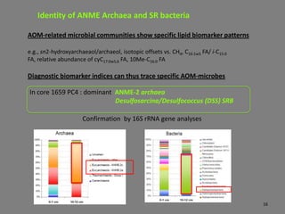 Lipid biomarkers trace methane consumption by microbial communities in ...