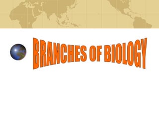 1 BRANCHES OF BIOLOGY 2.ppt