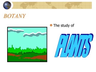 1 BRANCHES OF BIOLOGY 2.ppt