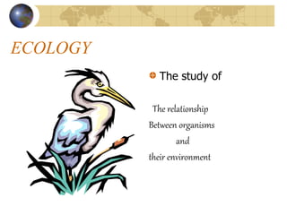 1 BRANCHES OF BIOLOGY 2.ppt