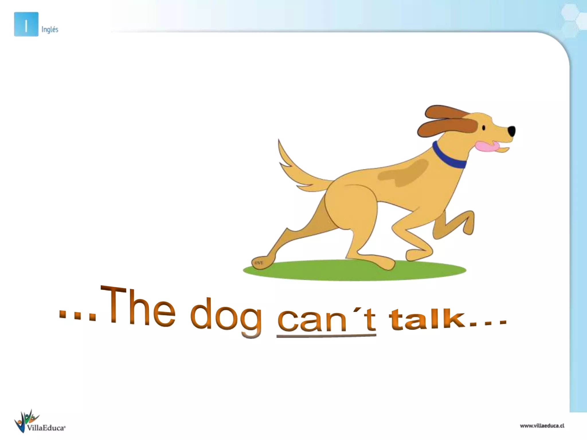 1st grade - Unit 2 Review | PPSX