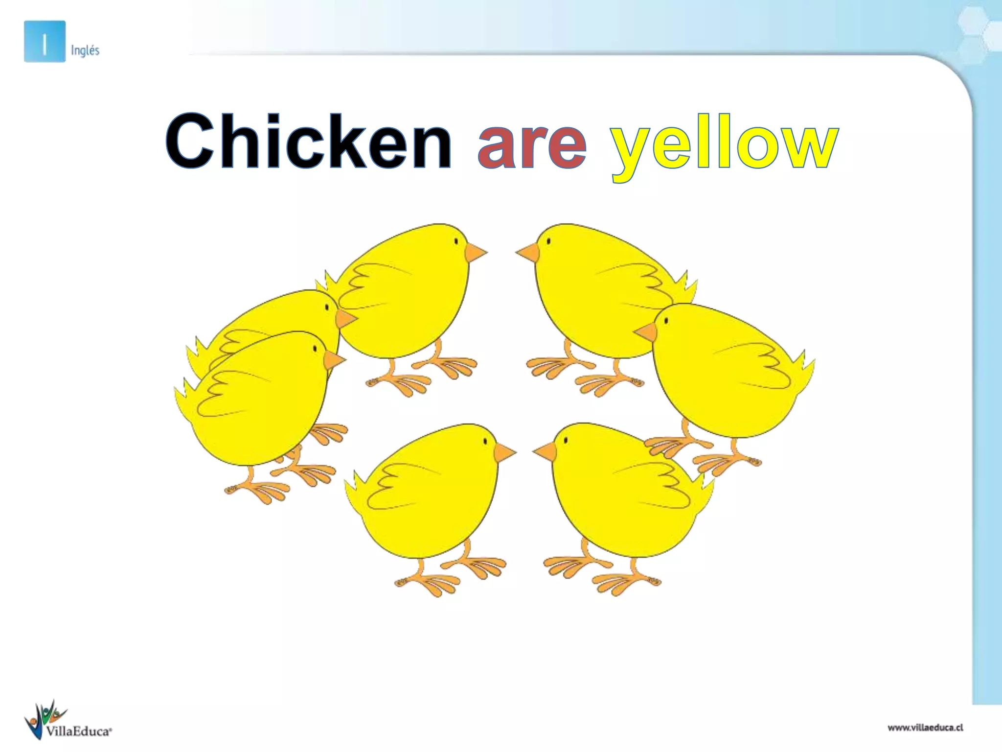 1st grade - Unit 2 Review | PPSX