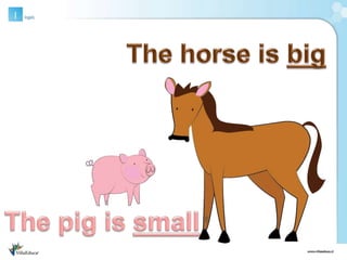 1st grade - Unit 2 Review | PPSX