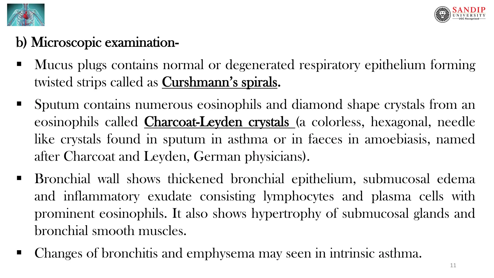 Pathophysiology of Bronchial Asthma..... | PDF