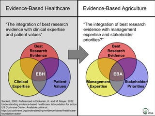 Data Stewardship Perspectives | PPTX