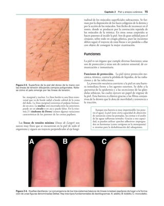 1 BUENO 0554. Anatomía humana.pdf