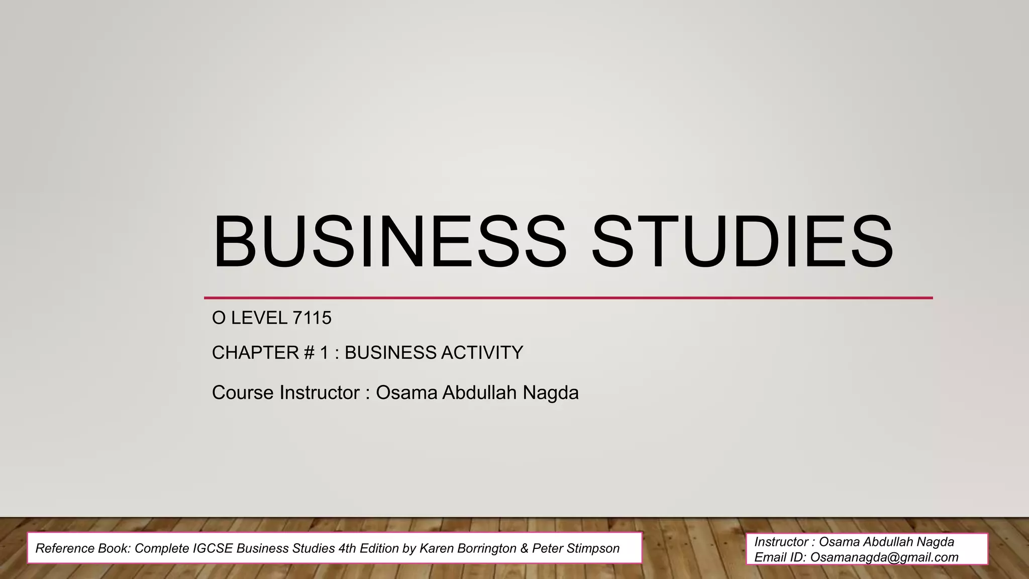 Understanding Business Activity | PPTX