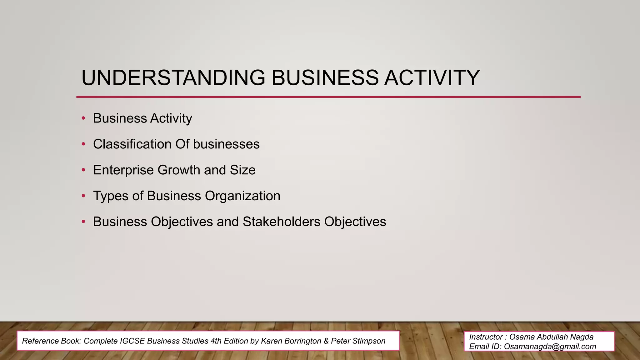 Understanding Business Activity | PPTX