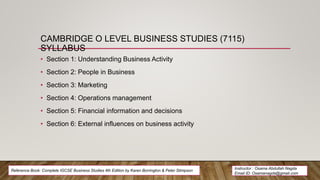 Understanding Business Activity | PPTX