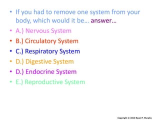 BIOLOGY FORM 5 CHAPTER 4 - 4.1B REPRODUCTIVE ORGANS | PPTX