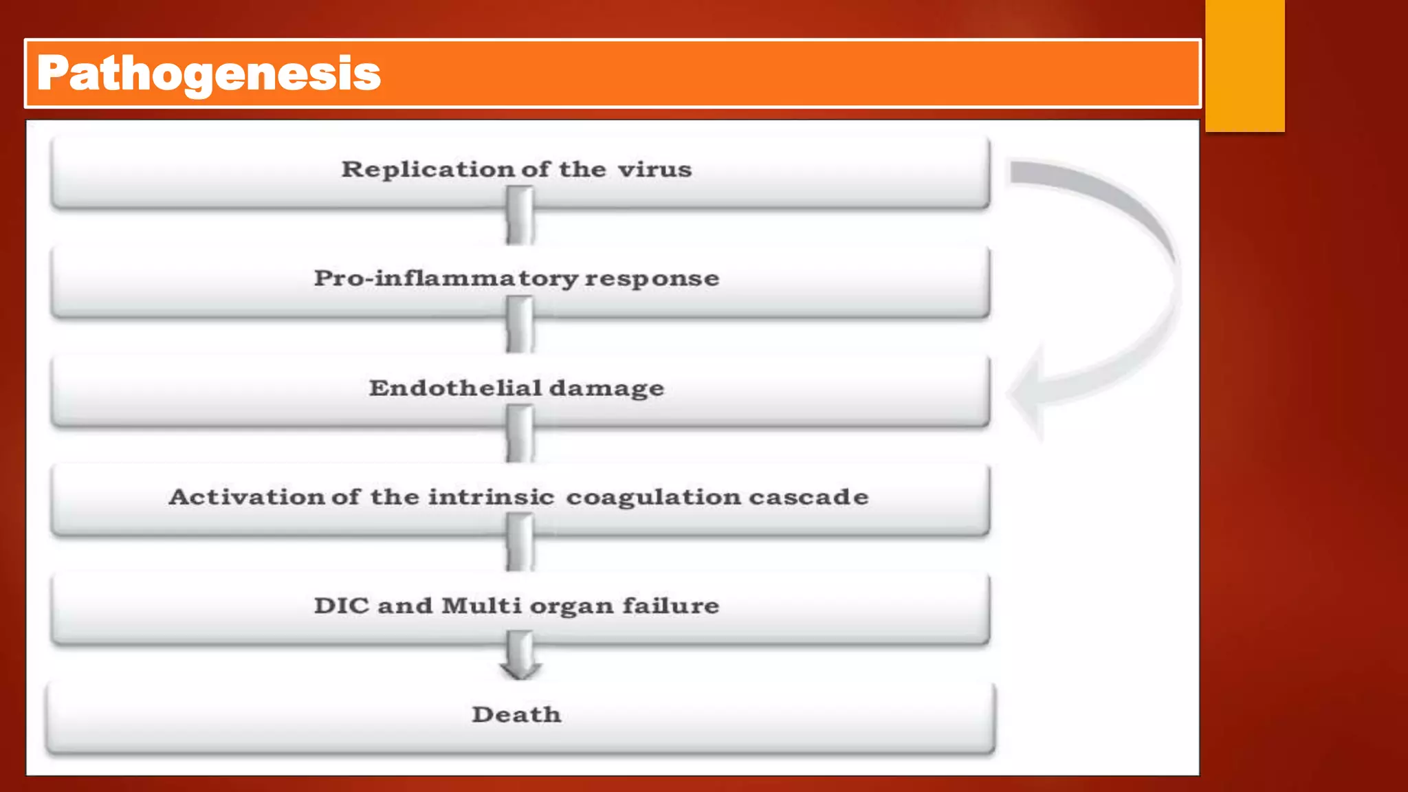 CRIMEAN-CONGO HEMORRHAGIC FEVER (CCHF) By. Dr.Yasir Baloch L&DDDB ...