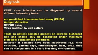 CRIMEAN-CONGO HEMORRHAGIC FEVER (CCHF) By. Dr.Yasir Baloch L&DDDB ...