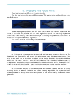 project report | PDF | Graphics Software | Computer Software and ...