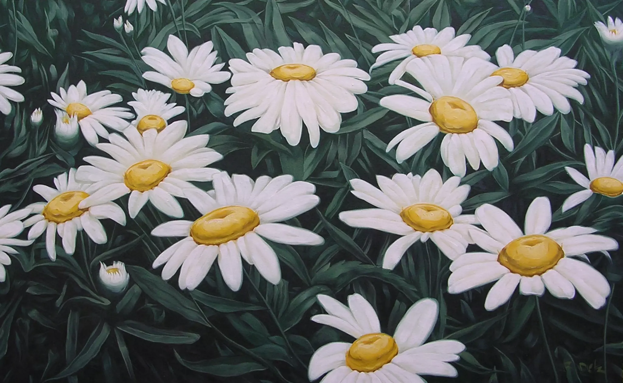 Daisies | PDF