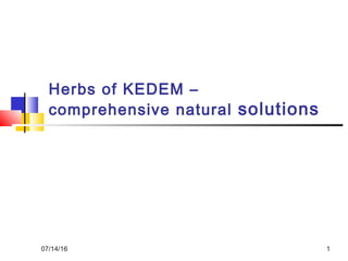 KEDEM PRODUCTS OVERVIEW | PPT