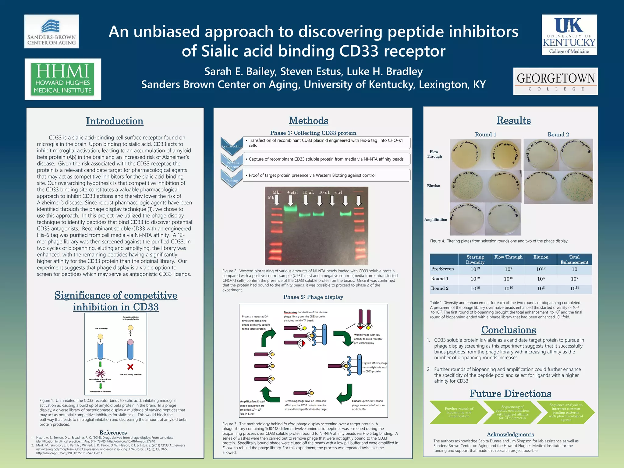 GCPALS - Summer Research Poster Template 1 | PPTX | Brain and Nervous ...