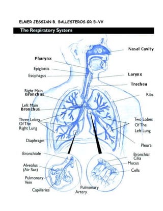 Bicol regional march | DOCX