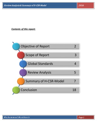 Review Analysis & Summary Report (H-CSR-Model) - Official Copy | DOCX