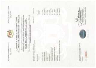 SPM TRANSCRIPT | PDF