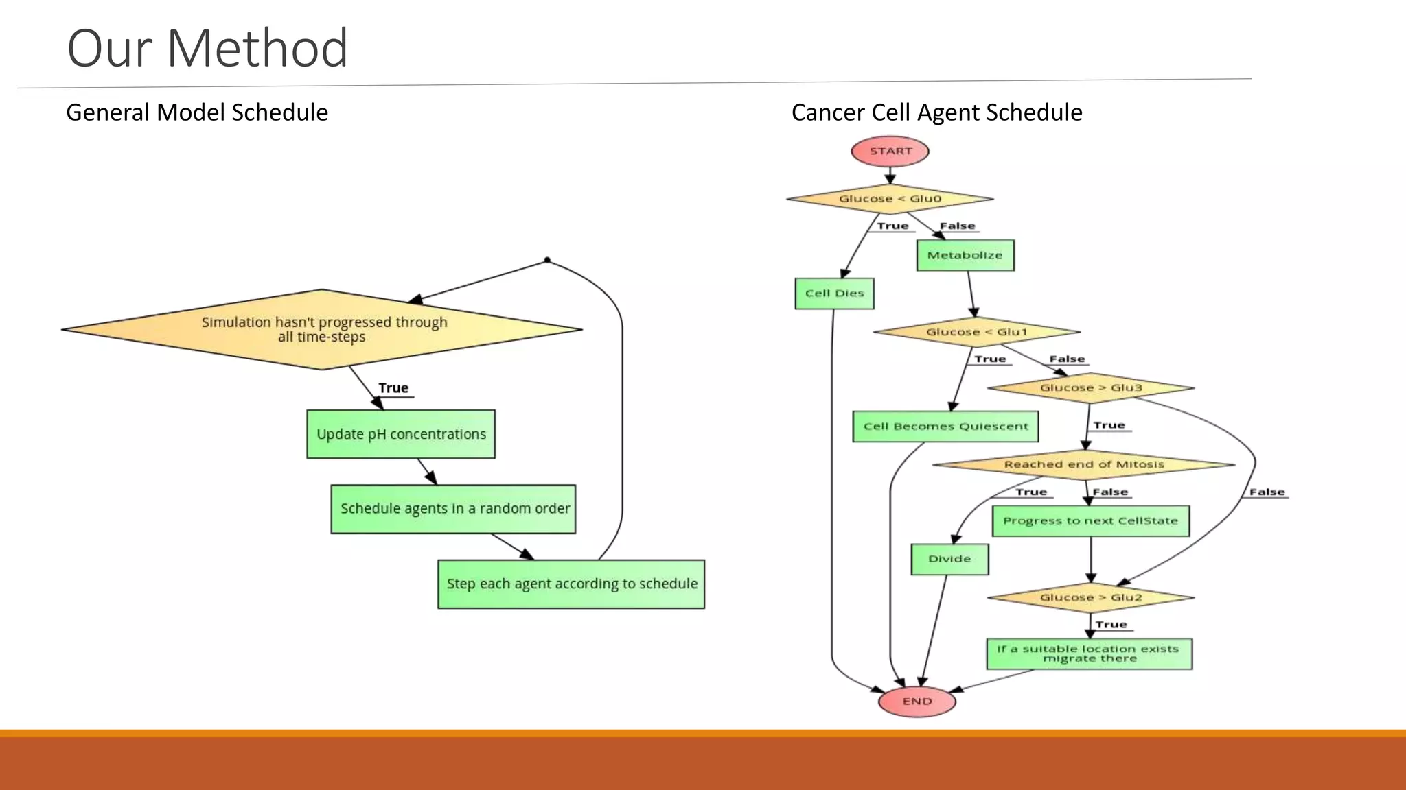In-Silico Modelling of Tumour Growth | PPTX