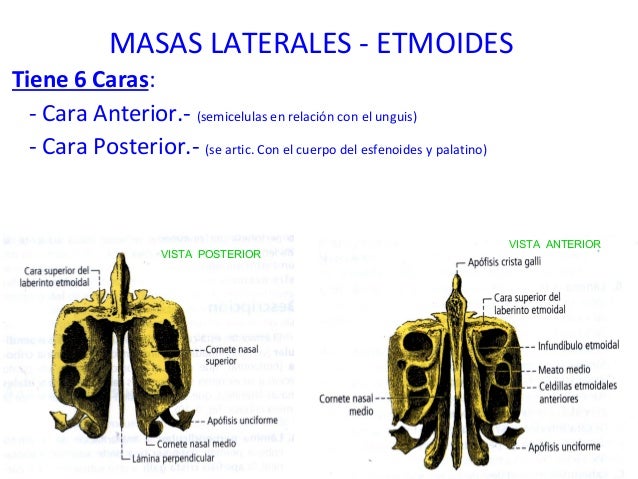 Blog Archives - Black Apron