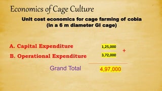 Cage Economics | PPTX