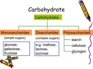 Chapter 4 Nutrients Lesson 1 - Carbohydrates | PPT